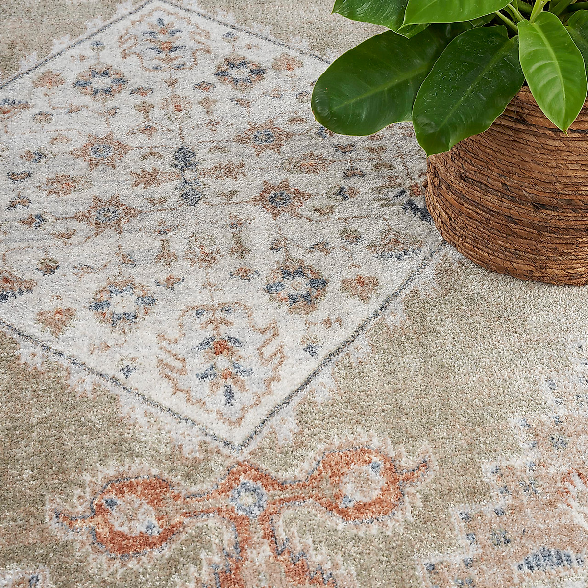 Nourison Astra Machine Washable Bohemian Sage Multi 5'3" x 7' Area -Rug, Easy -Cleaning, Non Shedding, Bed Room, Living Room, Dining Room, Kitchen (5x7)