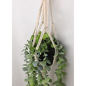 Asano Season Fake Plants Artificial Eucalyptus with Hanging Plant Hanger 2.6 FT Faux Greenery Vine Potted Plants in Black Pot and Cotton Rope for Boho Home Green House Garden Indoor Bedroom Décor