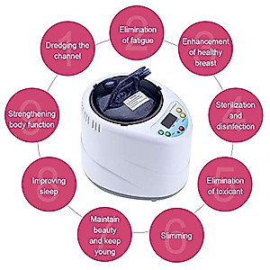 Ejoyous Sauna Steamer Machine for Home, 2L Portable Sauna Steam Generator Fumigation Machine Stainless Steel Pot with Intelligent Remote Control for Sauna Spa Tent Body Detox, US Plug