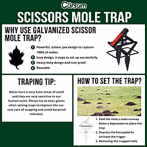 Garsum Mole Traps That Kill, EasySet Eliminator Black Scissor Traps, Vole Trap for Lawns, Reusable Quick & Clean Kill, Black_1 Mole Trap