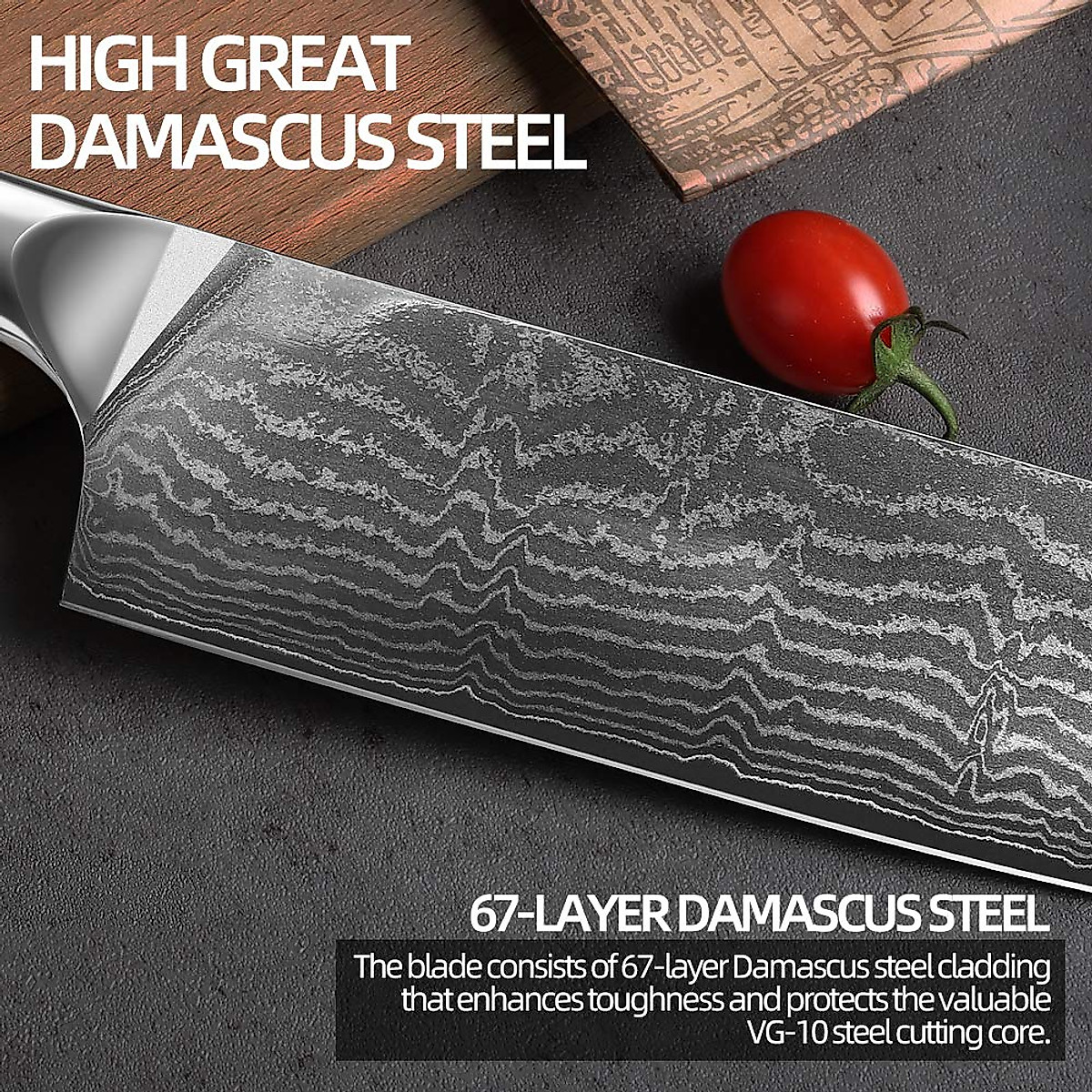 RuanQ Pro Chef Knife, 8 Inchs Kitchen Knife, German Special High Carbon Alloy Steel, Ergonomic Precious Rosewood Handle, Ultra Sharp