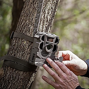 2 Pack TACTACAM Reveal X Gen 2.0 LTE Cellular Trail Camera AT&T and Verizon , HD Video , HD Photo , Low Glow IR LED Flash (TA-TC-XG2) for Hunting , Security , Surveillance Gen 2 (XV 2 Pack)