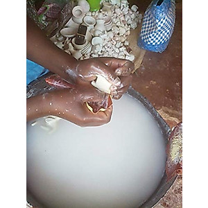 Soapstone African Rhino - Figurine Sculpture - Handmade in Kenya - 2 Inches Height x 3 Inches Long, Crimson Red, SS5