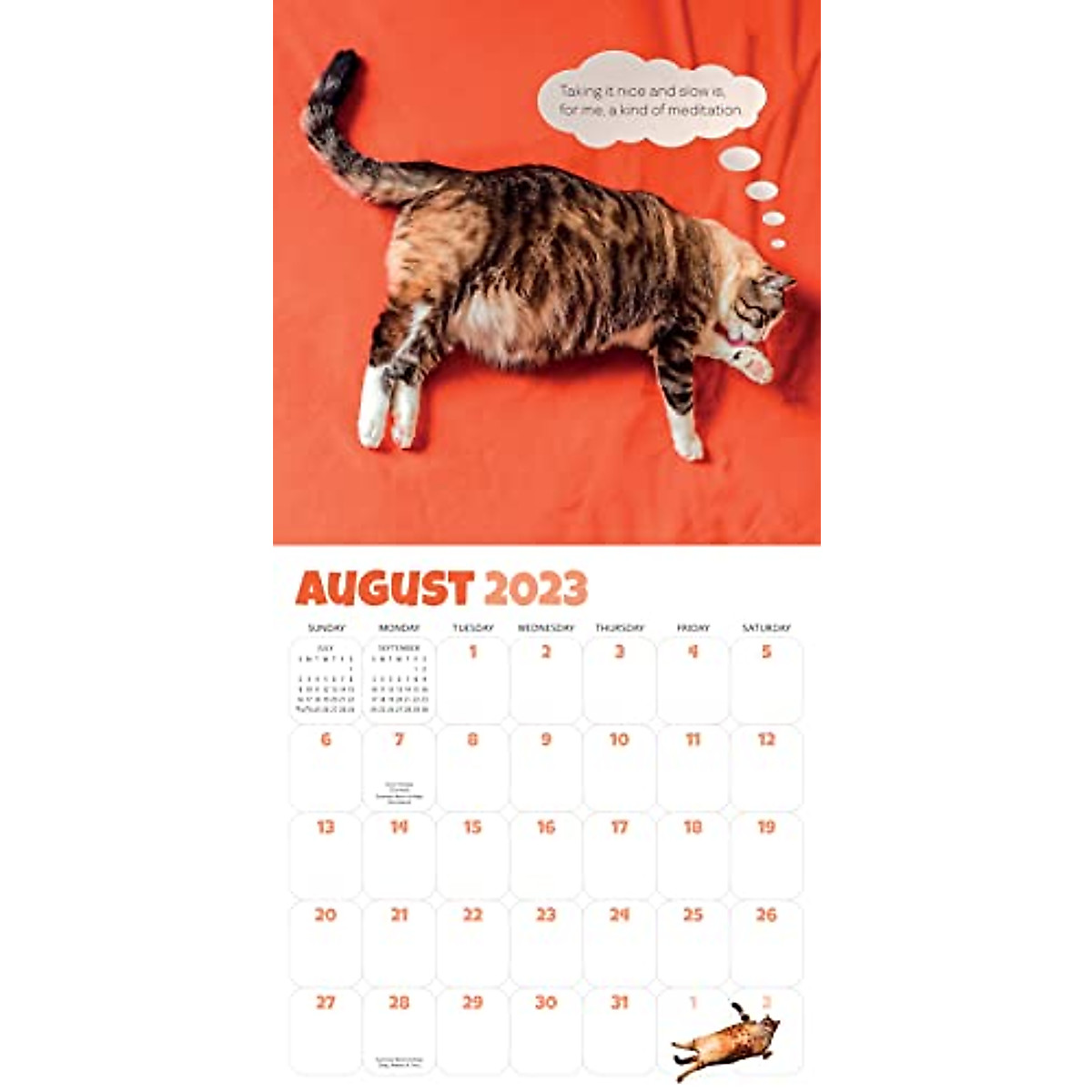 Chonkers Wall Calendar 2023: Irresistible Photos of Snozzy, Chonky Floofers Paired with Relaxation-Themed Quotes