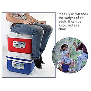 HESNDxbx Mini Fridge 13L Car Insulation Preservation Box Car Cooler Box Ice Organizer Medicine Preservation Home Barbecue Fishing Multifunctional