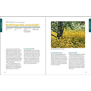 Deer-Resistant Native Plants for the Northeast