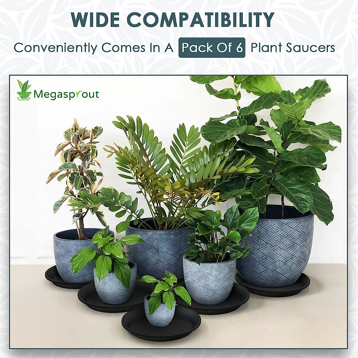 MegaSprout 6 Plant Saucer Trays 9 Inch | Sturdy Plastic Plant Trays for Pots & Planters | Protect & Enhance Surfaces with Black Round Flower Pot Saucers | Large Plant Saucers for Indoors