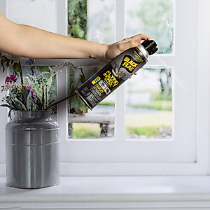 Black Flag Home-pest-repellents, 18 oz, Clear