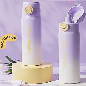 bukebro Stainless Steel Vacuum Insulated Water Bottles Leak Proof with Straw,keep warm|cool,Gifts for him|her,used in office,outdoor sports 17oz/500ml (17oz orange)