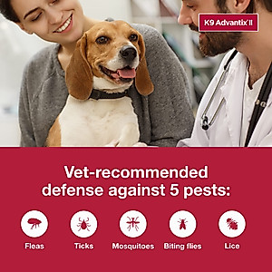 Bundle of K9 Advantix II Medium Dog| Dogs 11-20 lbs. | 6-Mo Supply + Pet Protect Dog Digestive Health Supplement | 60 Chews