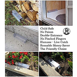 Grandpa Gus's CCT-2 Humane Live Catch & Release Critter & Rodent Trap, Indoor/Outdoor Reusable with No Poison/Glue & No Killing (Pack of 2)