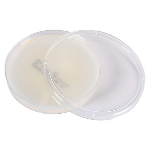 Cetrimide Select Agar, for The Cultivation and Isolation of Pseudomonas, USP, 26ml Deep Fill, 15x100mm Plate, Order by The Package of 10, by Hardy Diagnostics