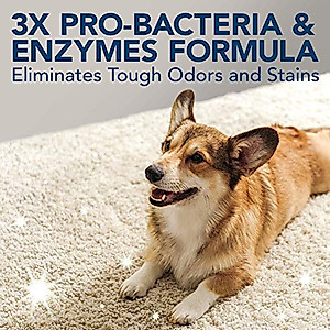 Simple Solution Extreme Pet Stain And Odor Remover, Enzymatic Cleaner With 3X Pro-Bacteria Cleaning Power, 32 Ounces