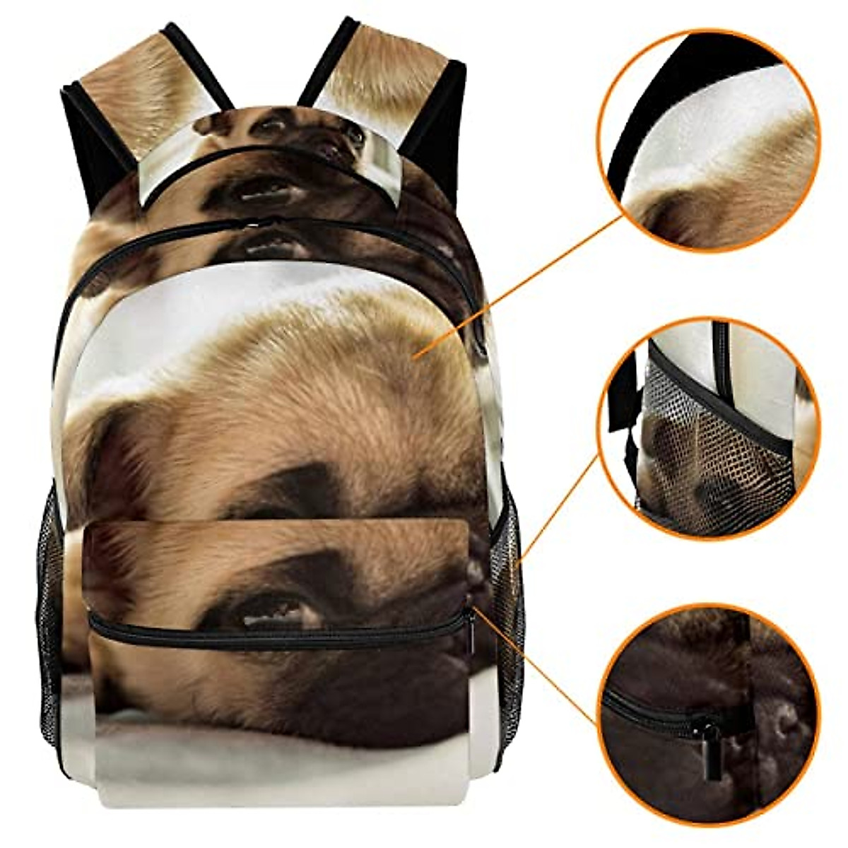 School Backpack Travel Backpack,Boy Girl Backpack,pug dog,Outdoor Sports Rucksack Casual Daypack