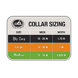 Pet Champion Classic No Pull, STRATEGY Teal Camo, Large (PTDCSTLG8)