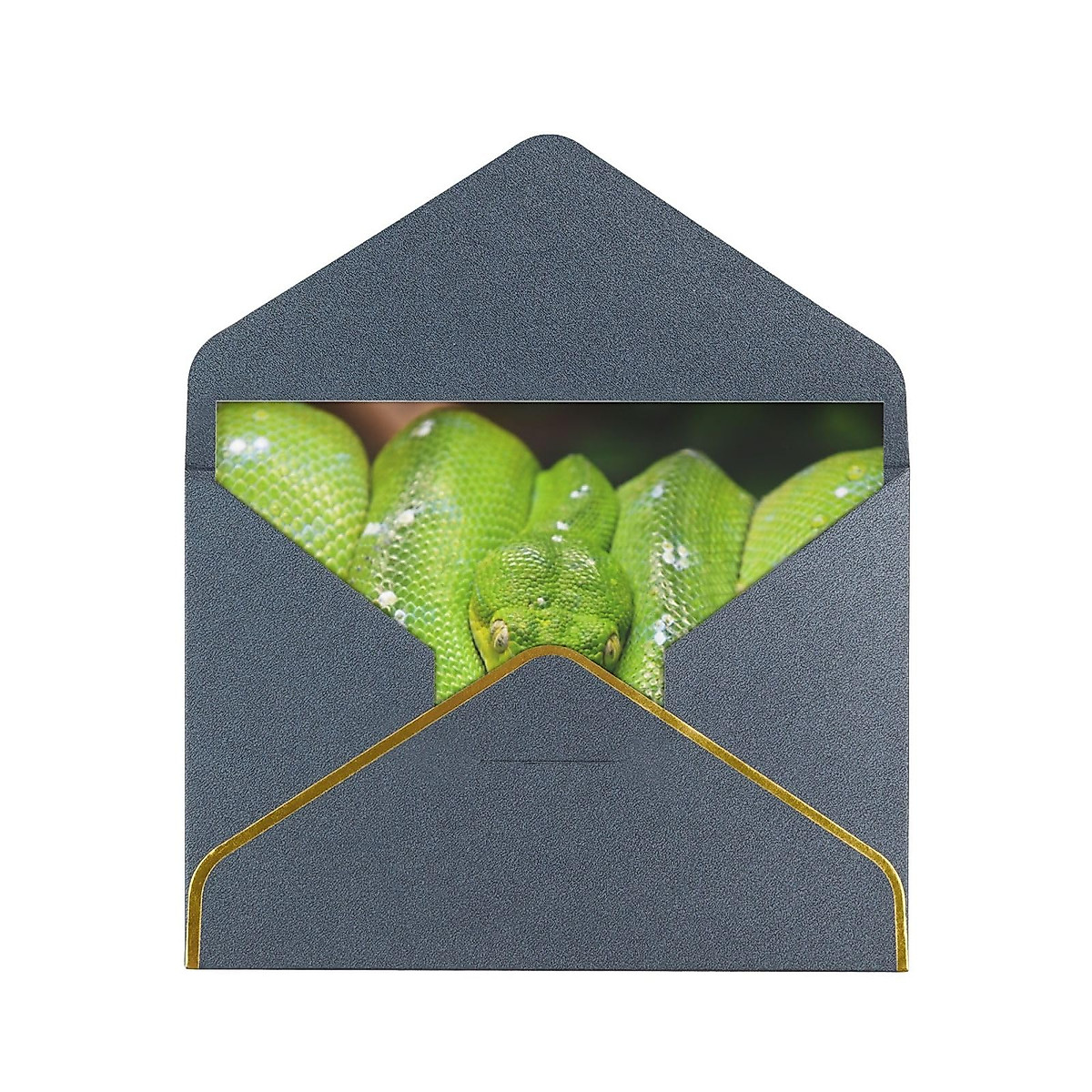 PAILON Green Snake Thank You Cards With Envelopes, Blank Greeting Note Cards With Envelopes Blank Inside, Funny Birthday Cards For Women Men, Thank You Card For Wedding Business,Graduation