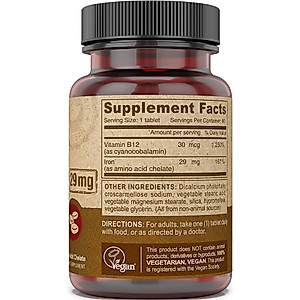 Deva Nutrition Vegan Chelated Iron 29 mg Fortified with B-12 - High Potency, Easy to Swallow - 90 Tablets, 1-Pack