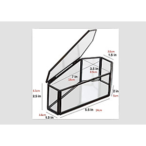 libproqia Small Coffin Glass Jewelry Box Black Trinkets Glass Coffin Terrarium Gothic Halloween Storage Vintage Coffin Box Glass Vampire Keepsake Display Organizer