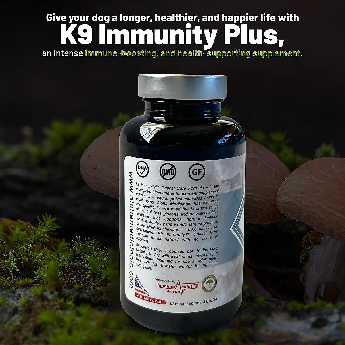 Aloha Medicinals K9 Immunity, Immune Support Supplement for Dogs, Organic and Mushroom Enhanced Dog Health Supplies, Pack of 1, 90 Capsules Each