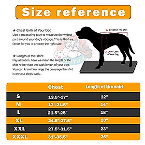 Apetian Dog Cold Weather Coats Winter Dog Vest Warm Dog Jacket Belle (M, A3-Red)