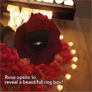 Proposal Decorations Kit, Marry Me Light Up Letters, 2000 Rose Petals, 24 Heart Shaped Romantic Candles, Red Carpet Aisle Runner 16 Feet, 10 Red Heart Balloons, 1 Engagement Rose Ring Box