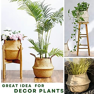 LiloCraft 2 Pack Seagrass Plant Basket XXLarge (16x14 inches) - TheMulti-Functional Home Decor Storage Solution with Eco-Friendly, Woven Basket Planter Indoor with Handles, Round Boho Plant Pot