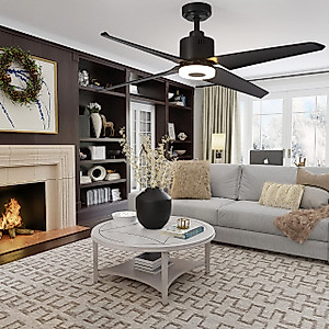 FINXIN Indoor Ceiling Fan Light Fixtures Black Remote LED 54 Ceiling Fans For Bedroom,Living Room,Dining Room Including DC Motor,4-Blades,Remote Switch