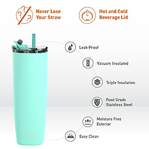 asobu Aqualina Stainless Steel Insulated Water Bottle with Interchangeable Hot and Cold Lid and Built in Straw (Mint)