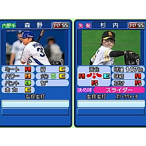 Pro Yakyuu Famista 2011 [Japan Import]