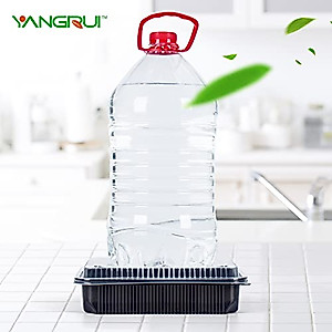 YANGRUI To Go Containers, 40 Pack (40 Trays + 40 Lids) 48oz 1 Compartment BPA Free Reusable Take Out Box Shrink Wrap Machine Washable Meal Prep Container