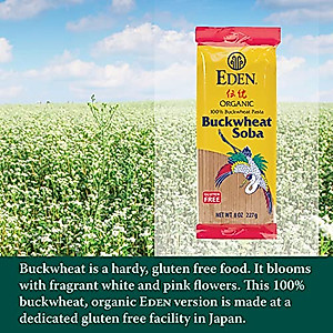 Eden 100% Buckwheat Soba Pasta, 8 oz