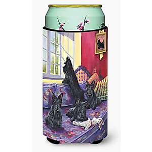 Caroline's Treasures PPP3175TBC Scottie Daybed Tall Boy Hugger Can Cooler Sleeve Hugger Machine Washable Drink Sleeve Hugger Collapsible Insulator Beverage Insulated Holder