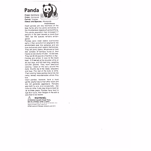 Koplow Games Panda Dice Game with 5 Dice Travel Tube and Gaming Instructions