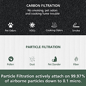 isinlive Blue Pure 311 Auto Replacement Fil-TER Compatible with Blueair Blue Pure 311 Auto Air Puri-Fier, 2 in 1 Fil-tration Systems, Particle and Activated Carbon, 2 Pack