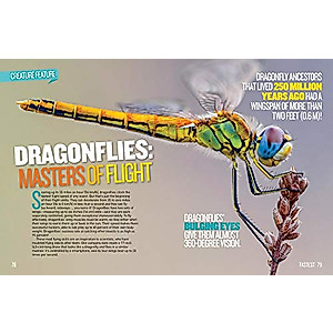 National Geographic Kids Extreme Records