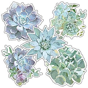 Schoolgirl Style Simply Stylish 36 Piece Botanical Succulents Bulletin Board Cutouts, Succulent Plant Bulletin Board Decorations, Greenery Accents, Classroom Décor