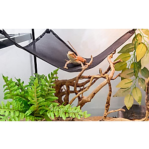 Magnoloran 4 Pack Bearded Dragon Lizard Hammock Reptile Swing Hanging Bed Lounger Breathable Mesh Hammock Habitat with Suction Cup Suitable for Iguanas, Anoles, Geckos, Snakes, Chameleon