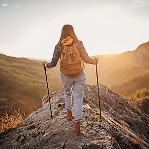 2 Pcs Trekking Poles,Aluminum Lightweight Collapsible Hiking Poles for Women,Walking Sticks for Hiking Carbon Fiber(Black)