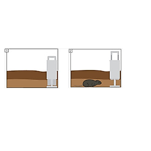 Gopher Mole Vale (1)