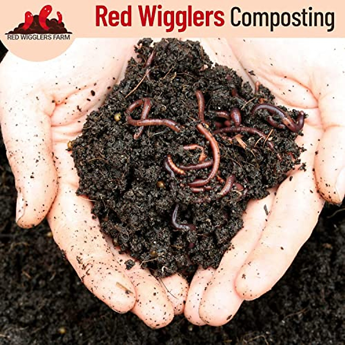 RedWigglersFarm – 1/2 LBS (Approximately 500 Worms) Premium Red Worms, Red Wigglers Composting Worms, Organic Sustainably Raised, Live Worms, Eisenia fetida, Home Compost Worms, Soil Regeneration