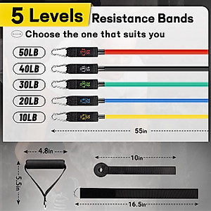 Resistance Bands, Workout Bands, Exercise Bands for Men and Women, Exercise Bands with Door Anchor, Physical Therapy, Shape Body, Resistance Band Set