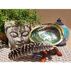 Cobra Stand 6" Bulk Wholesale Wood Display Stand, Crystal Ball, Abalone Shell Stand, Artisan Hand Carved, Stained Wooden 3 Leg Tripod Base Holder for Shells, Wicca, Reiki, Earthy Decor Display, (6)