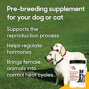 Breed Heat - Breeding & Reproductive Supplement for Dogs & Cats (Formerly Thomas Labs, Same Product) - 16 oz Powder