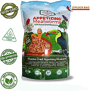 Amzey Dried Mealworms 1 LB, 100% Natural for Chicken Feed, Bird Food, Fish Food, Turtle Food, Duck Food, Reptile Food, Non-GMO, No Preservatives, High Protein and Nutrition, Zipped Bag
