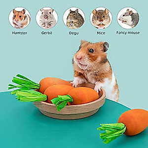 Niteangel Hamster Chew & Decor Toys - for Syrian Dwarf Hamsters Gerbils Mice Lemming Degu or Other Small-Sized Pets (Carrot-Shape (Pack of 6))