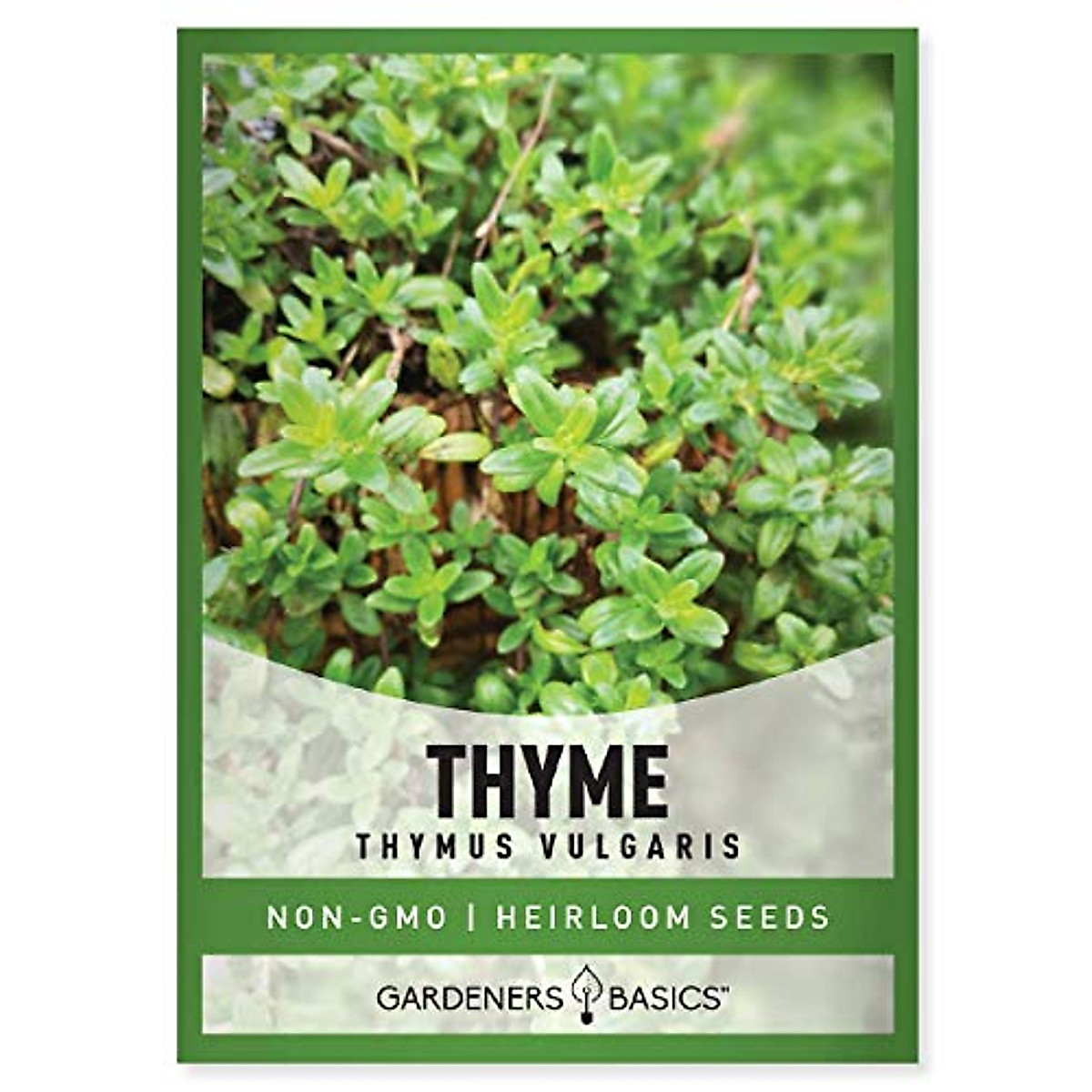 Thyme Seeds for Planting is A Heirloom, Non-GMO Herb Variety- Thymus Vulgaris Herb Seeds Great for Indoor and Outdoor Gardening by Gardeners Basics
