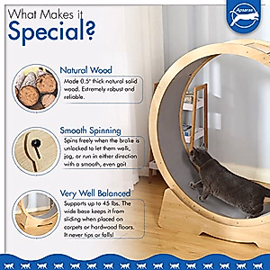 HYPULY Cat Exercise Wheel for Indoor Cats, Large 42.5 Inch Cat Treadmill Exerciser for Fitness and Healthy, Suitable for Most Cats