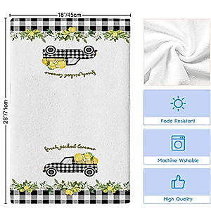 Beisseid Summer Kitchen Towels Floral Fruit Lemon Truck Dish Towels Dishcloth Fingertip Hand Towels Cloth Black Buffalo Plaid Soft Cotton Tea Towel 18x28in