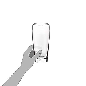 Libbey Craft Brews Assorted Beer Glasses, Set of 6