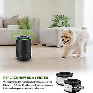 Smilyan BS-01 True HEPA Replacement Filter Compatible with Slevoo BS-01 Air Purifier, 3-in-1 BS01 Air Filter Replacement,2 PACK (NOT fit for BS-03)